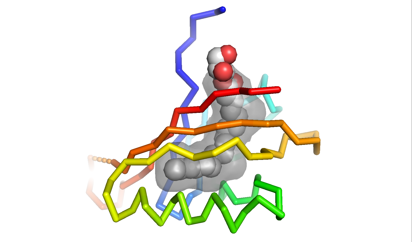 LNBio research identifies novel molecular interaction – Laboratório ...