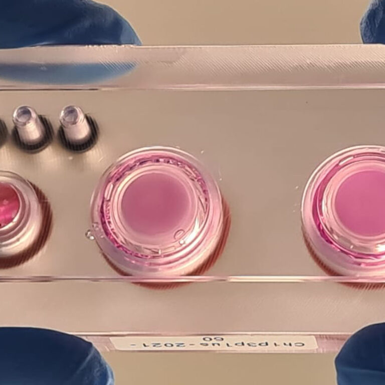 Laboratório Nacional de Biociências – LNBio