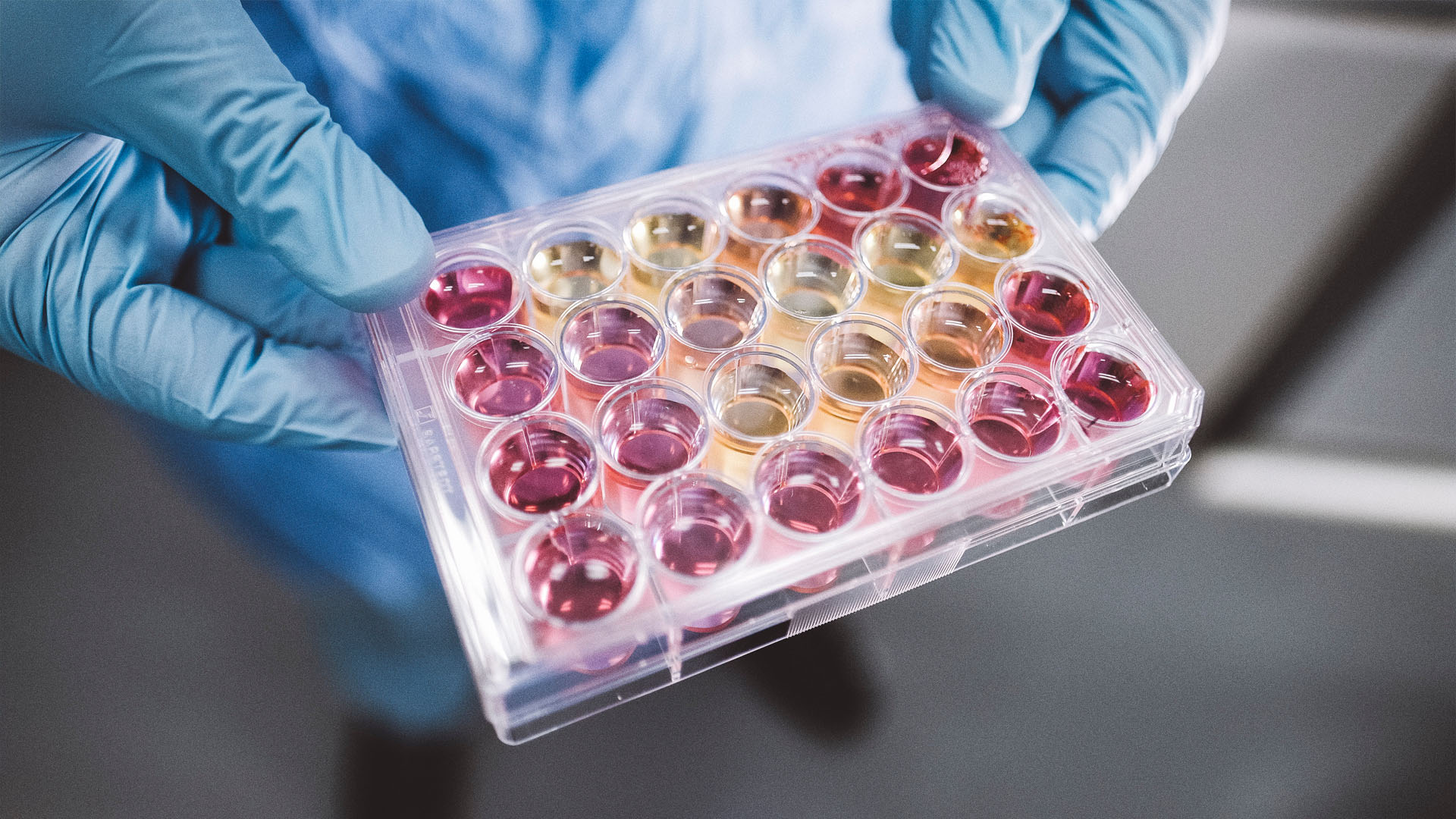 2 – Laboratório Nacional de Biociências