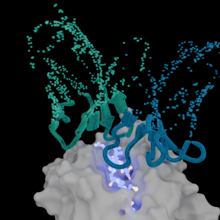 Laboratório Nacional de Biociências – LNBio